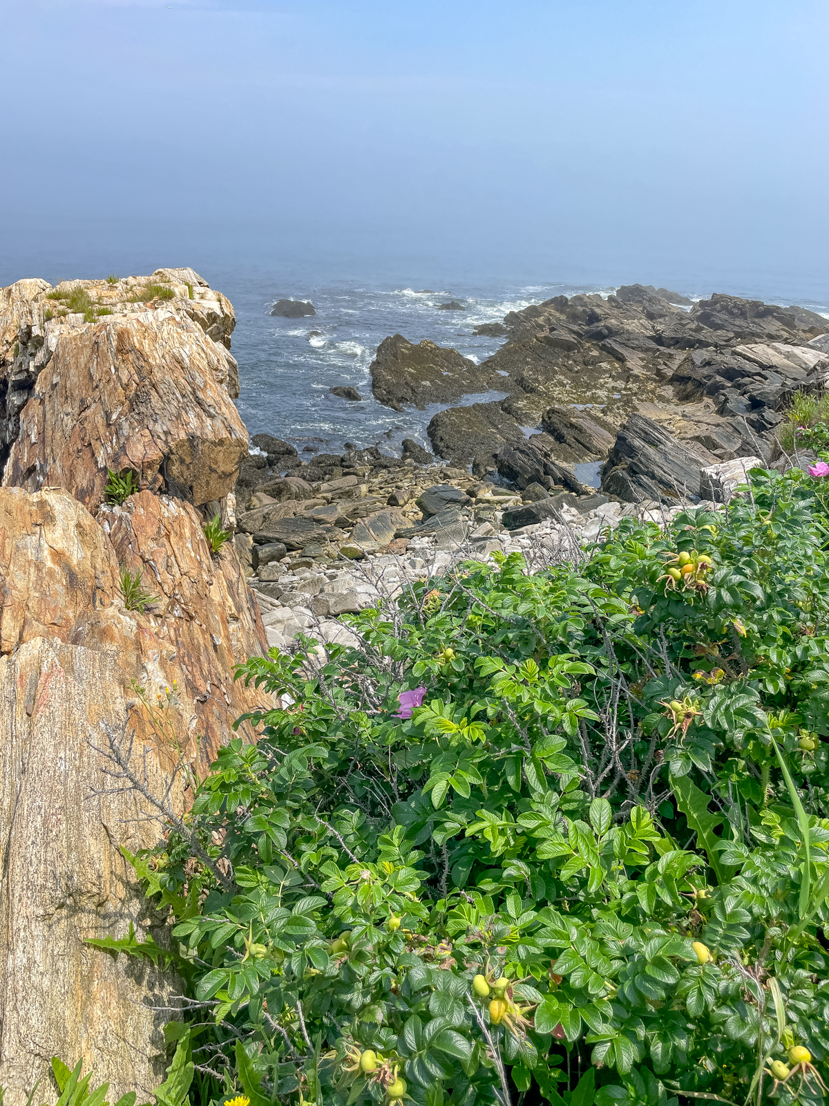 THINGS TO DO IN CAPE ELIZABETH, MAINE | Everyday Laura