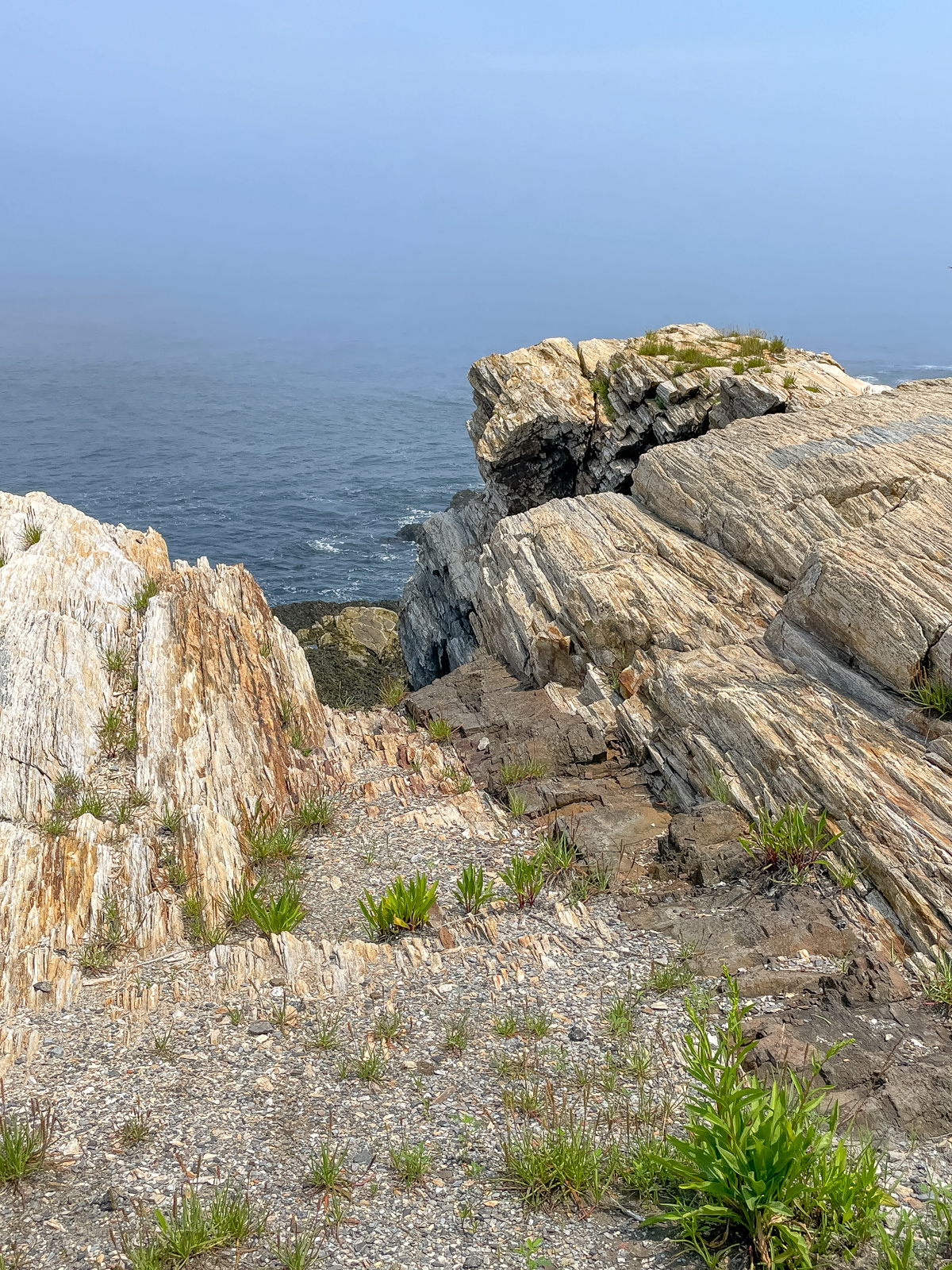THINGS TO DO IN CAPE ELIZABETH, MAINE | Everyday Laura