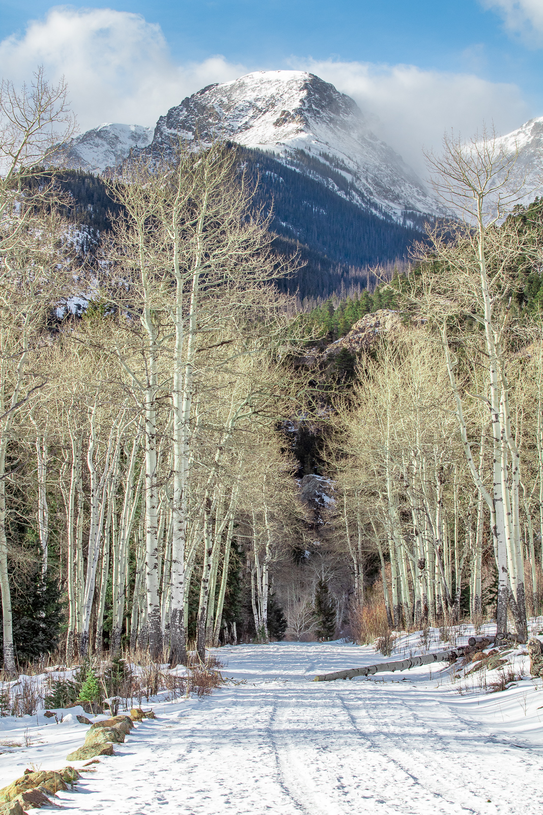 5 EASY WINTER HIKES IN ROCKY MOUNTAIN NATIONAL PARK | Everyday Laura