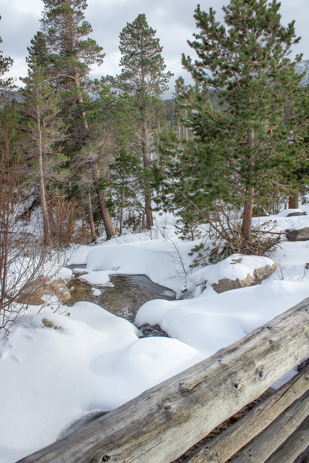 5 EASY WINTER HIKES IN ROCKY MOUNTAIN NATIONAL PARK | Everyday Laura