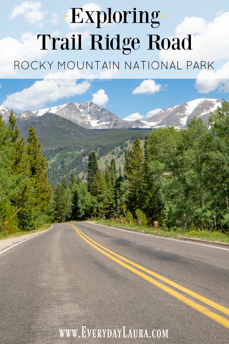 TRAIL RIDGE ROAD IN ROCKY MOUNTAIN NATIONAL PARK | Everyday Laura